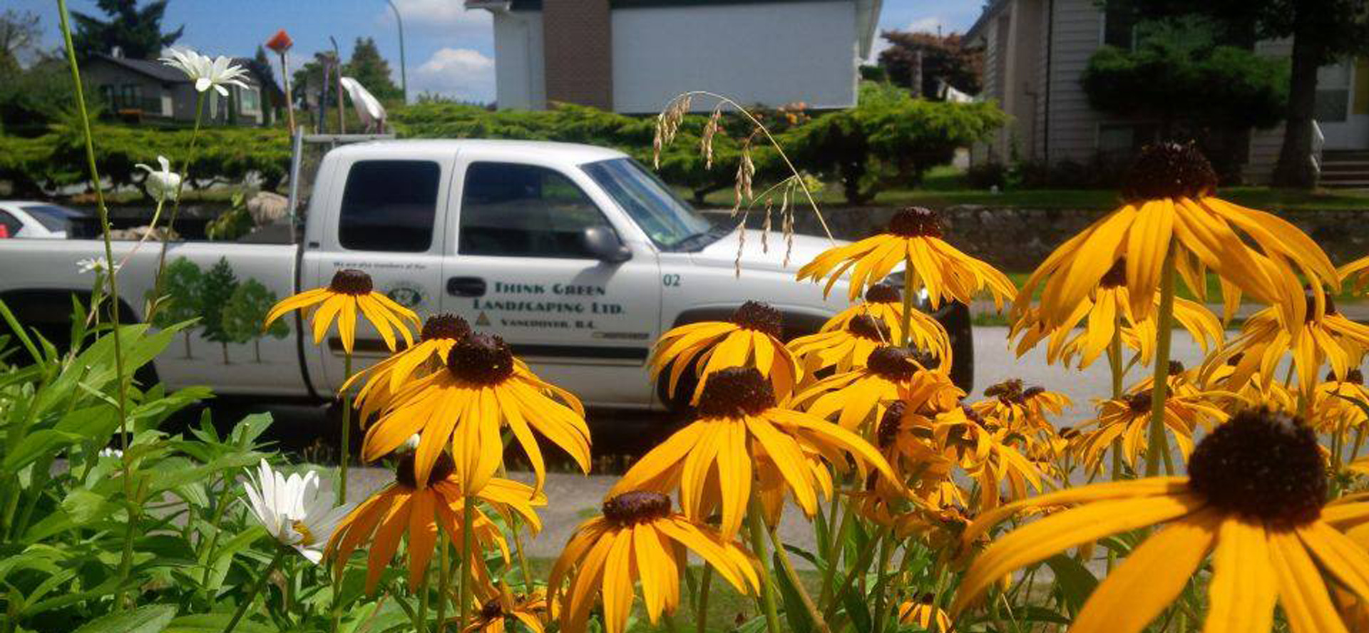 About Think Green Landscaping | Servicing the Vancouver Area