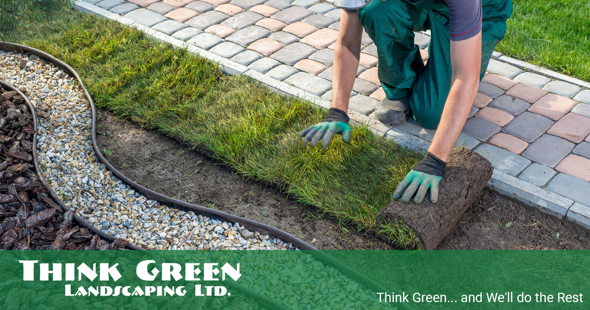 Think Green Landscaping Gallery | Think Green Landscaping